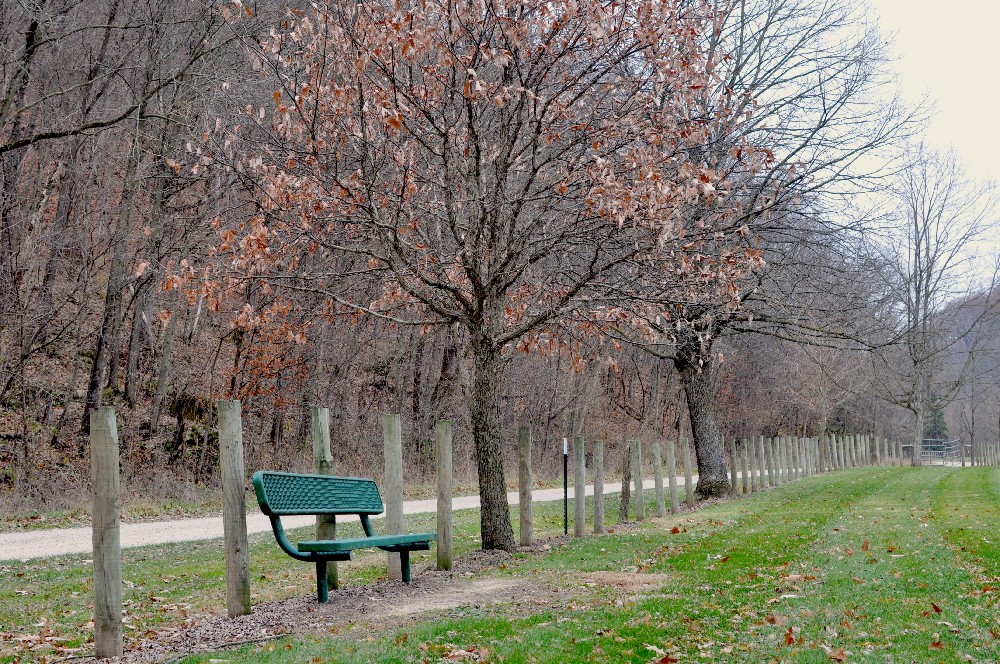 Essential Seasonal Maintenance Tips for Park Benches - Furniture Leisure